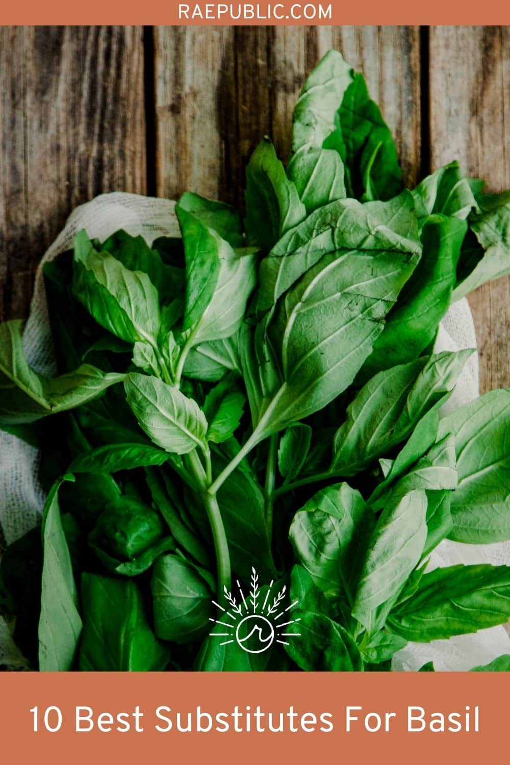 10 Best Substitutes For Basil (Fresh And Dried Alternatives) - Raepublic