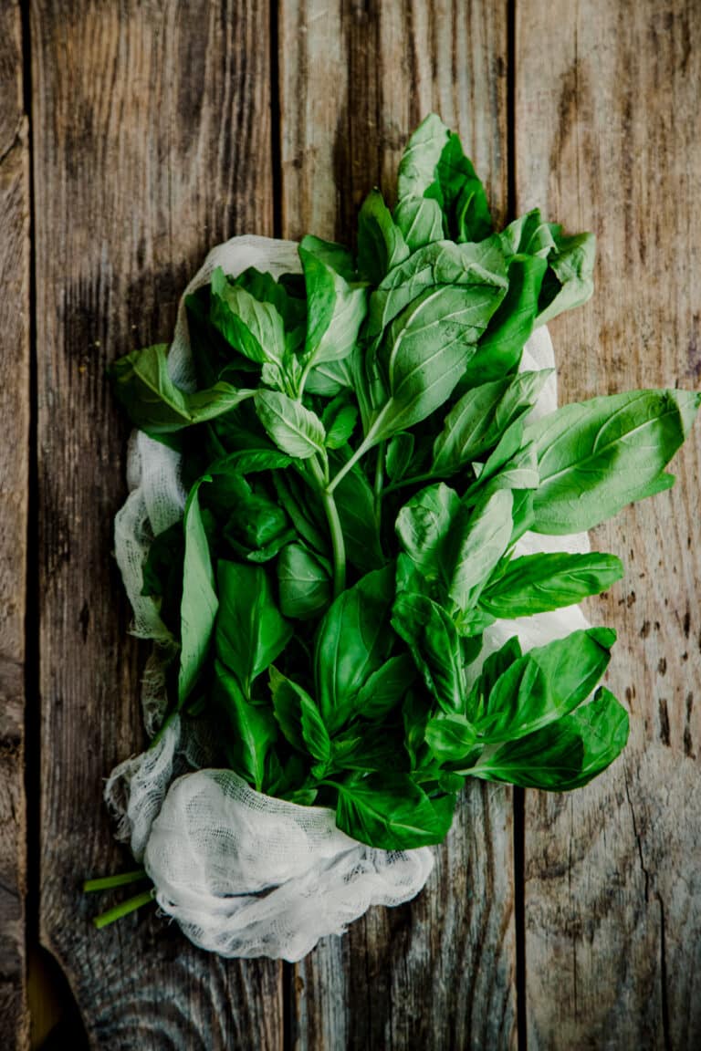 10 Best Substitutes For Basil (Fresh And Dried Alternatives) - Raepublic