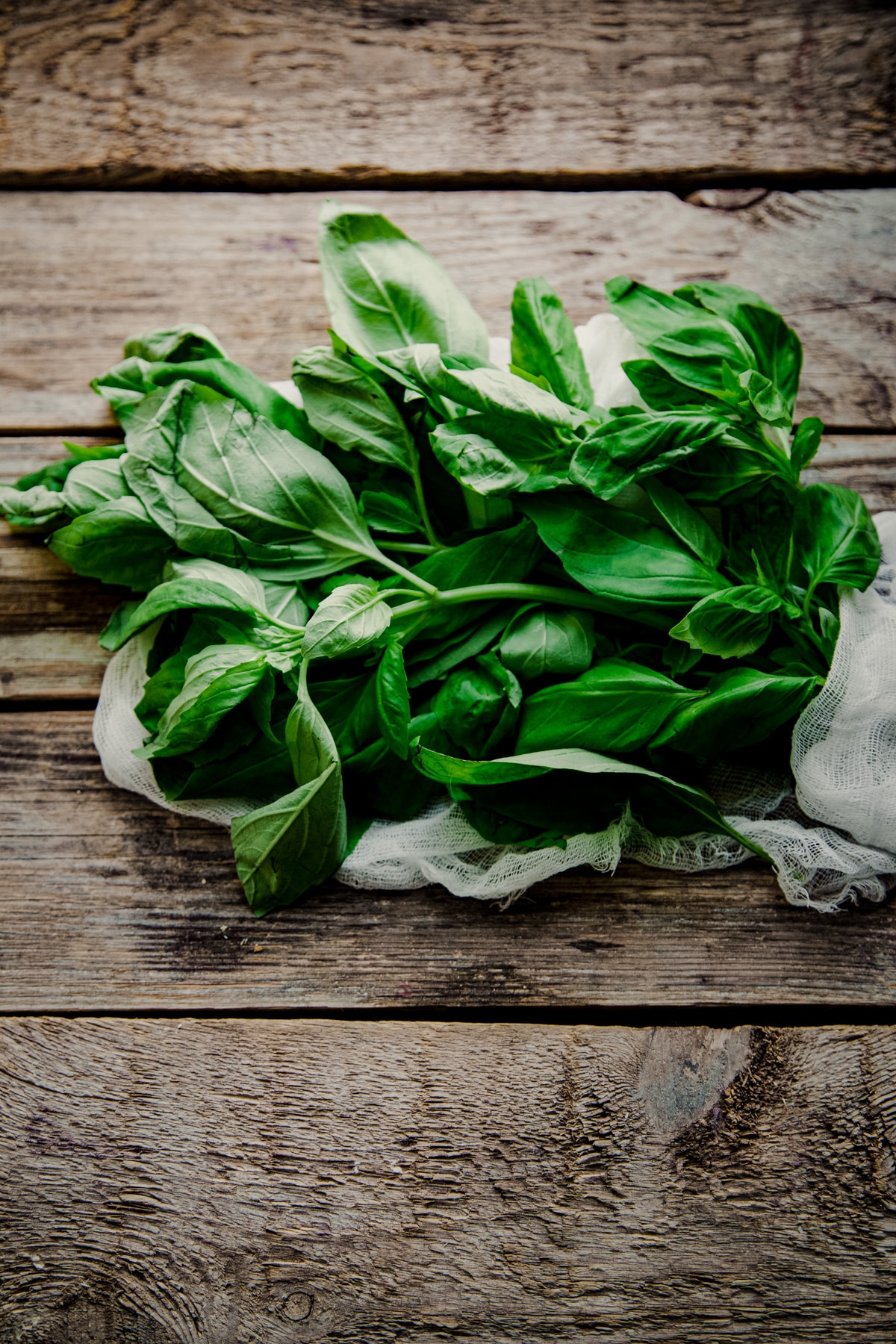 10 Best Substitutes For Basil (Fresh And Dried Alternatives) - Raepublic