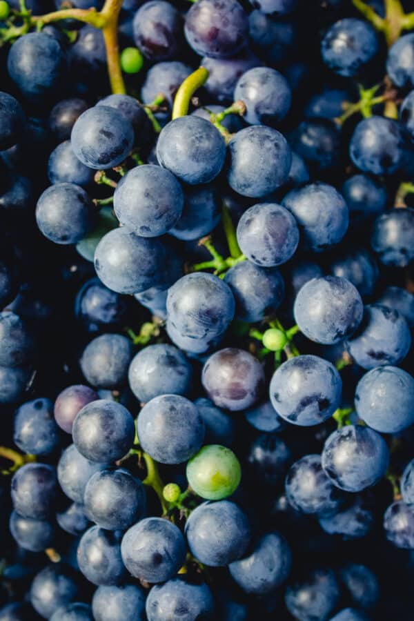 80 Foods That Are Blue (Naturally Blue Food) - Raepublic