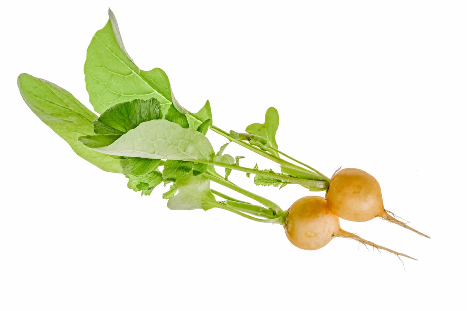 100 Foods That Are Yellow (Naturally Yellow Foods) - Raepublic