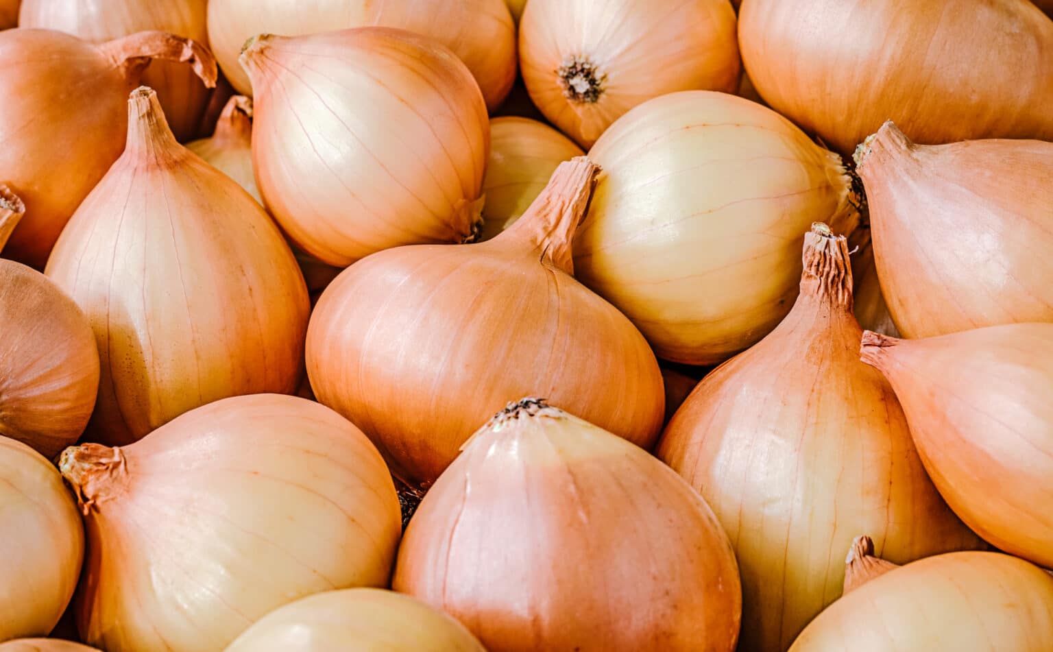 100 Foods That Are Yellow (Naturally Yellow Foods) - Raepublic