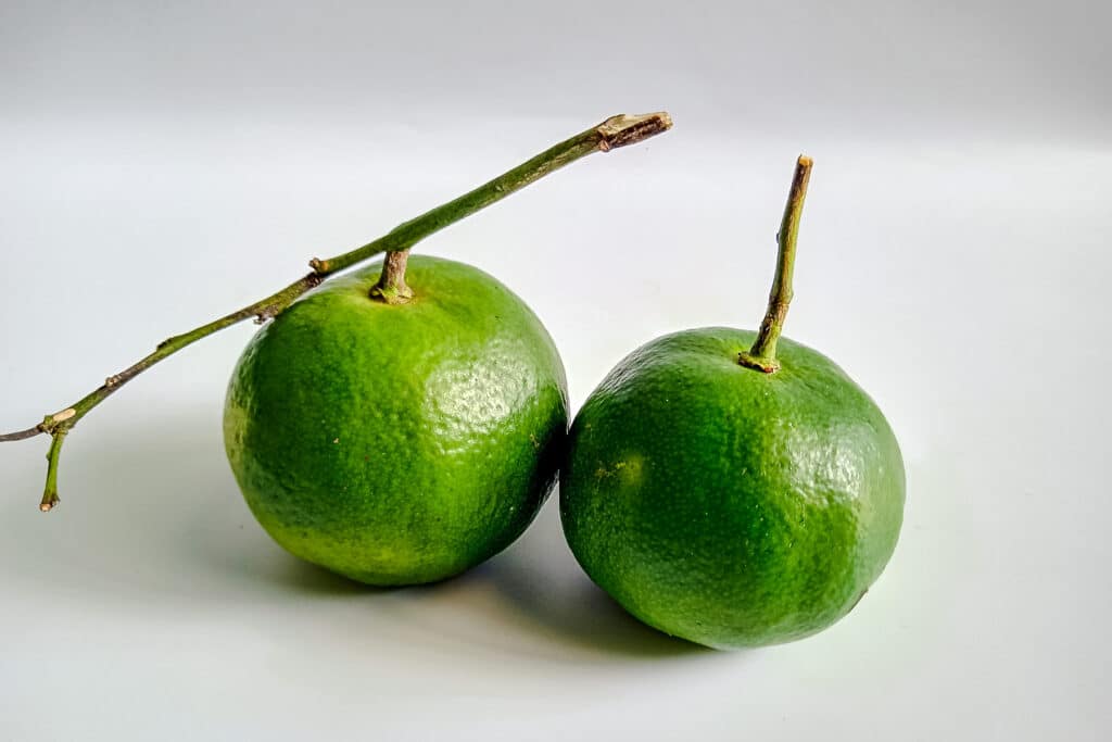 52 Foods That Are Orange (Naturally Orange Foods) - Raepublic