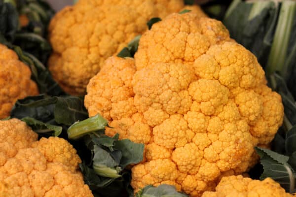 52 Foods That Are Orange (Naturally Orange Foods) - Raepublic