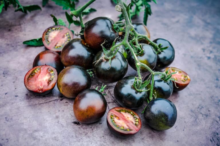 85 Foods That Are Black (Naturally Black Foods) - Raepublic