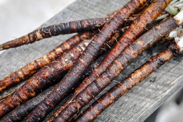 85 Foods That Are Black (Naturally Black Foods) - Raepublic