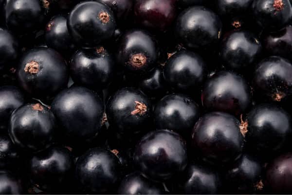 85 Foods That Are Black (Naturally Black Foods) - Raepublic
