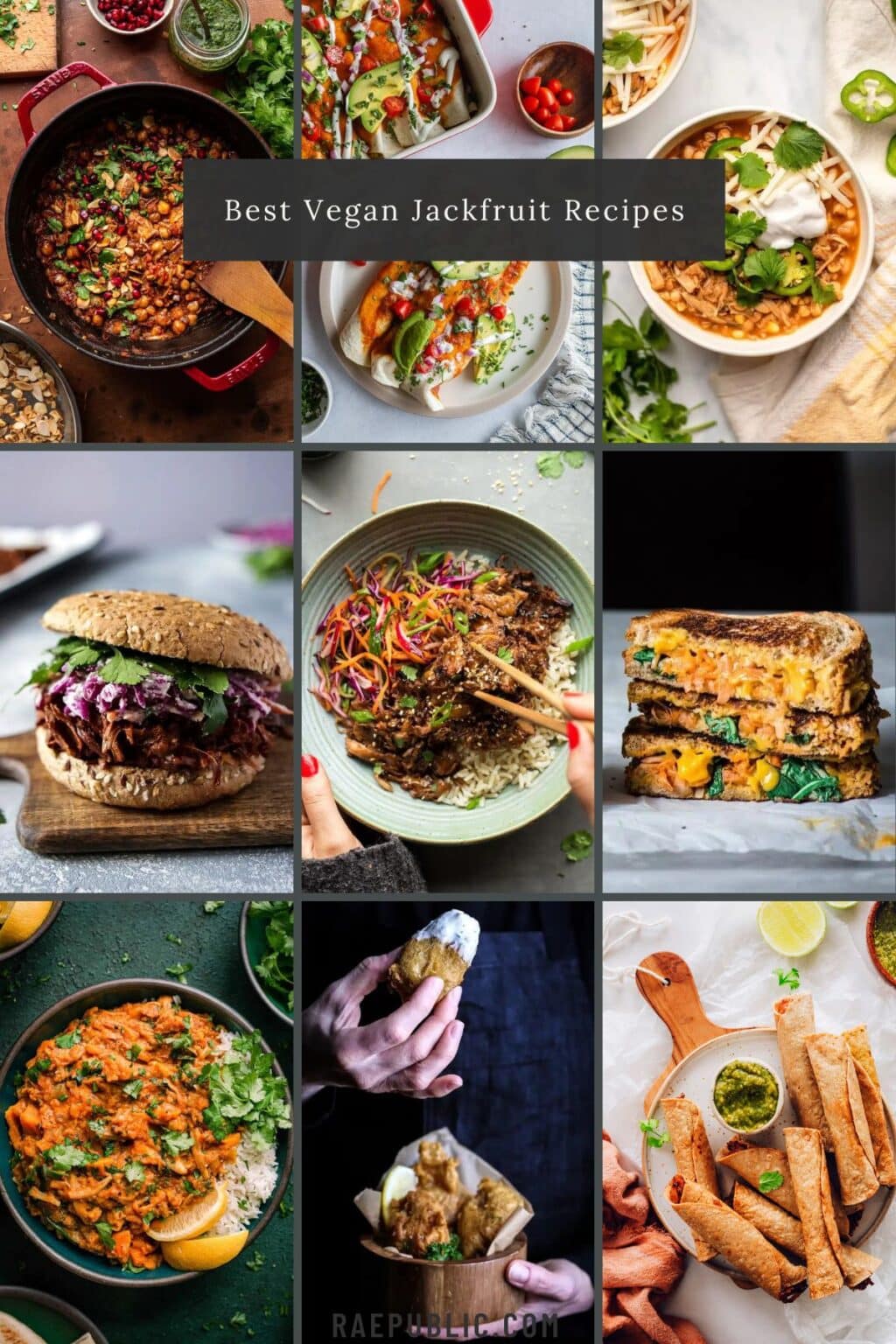 31 Vegan Jackfruit Recipes For Easy Meatless Meals - Raepublic