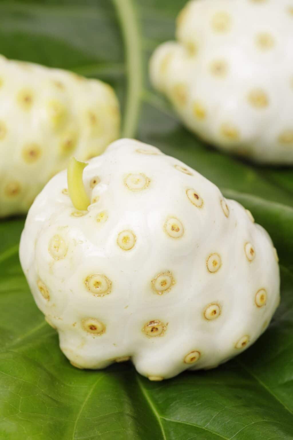 130 Foods That Are White (Naturally White Foods) - Raepublic