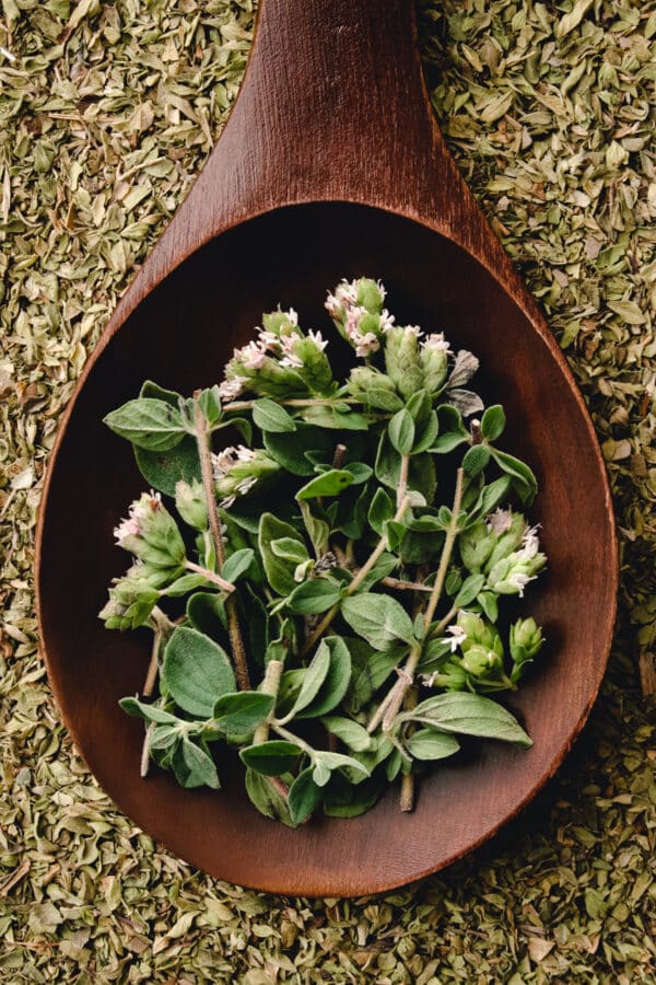 25 Best Substitutes for Oregano (Fresh And Dried Options) - Raepublic