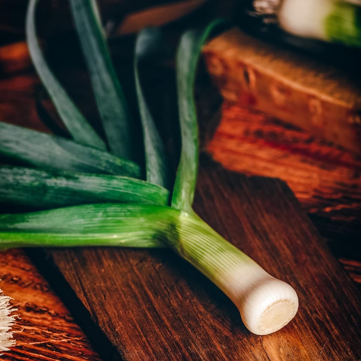 21 Best Leek Substitutes For Flawless Recipes - Raepublic