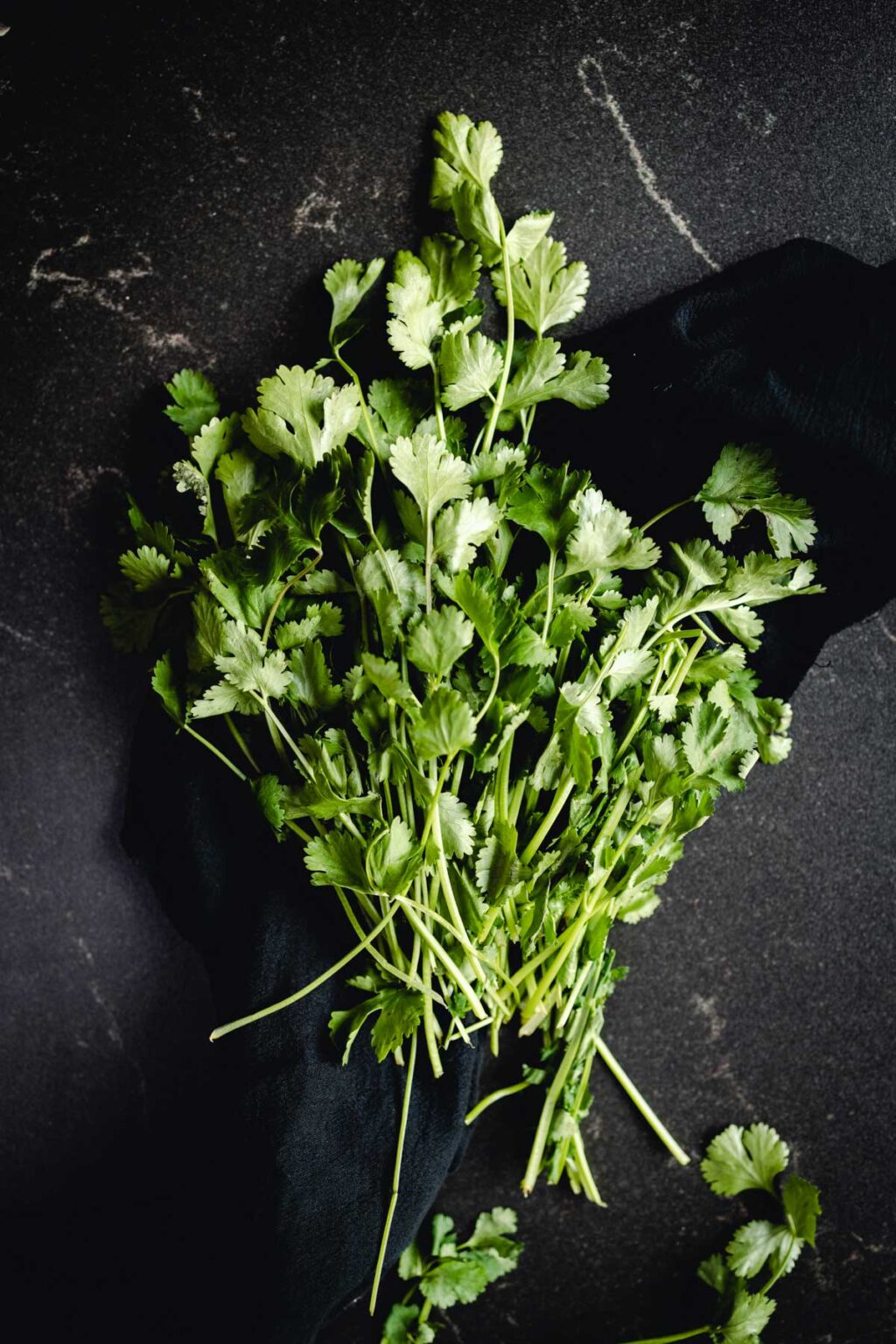 25 Best Substitutes For Cilantro (Fresh and Dried Options) - Raepublic
