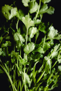 25 Best Substitutes For Cilantro (Fresh and Dried Options) - Raepublic