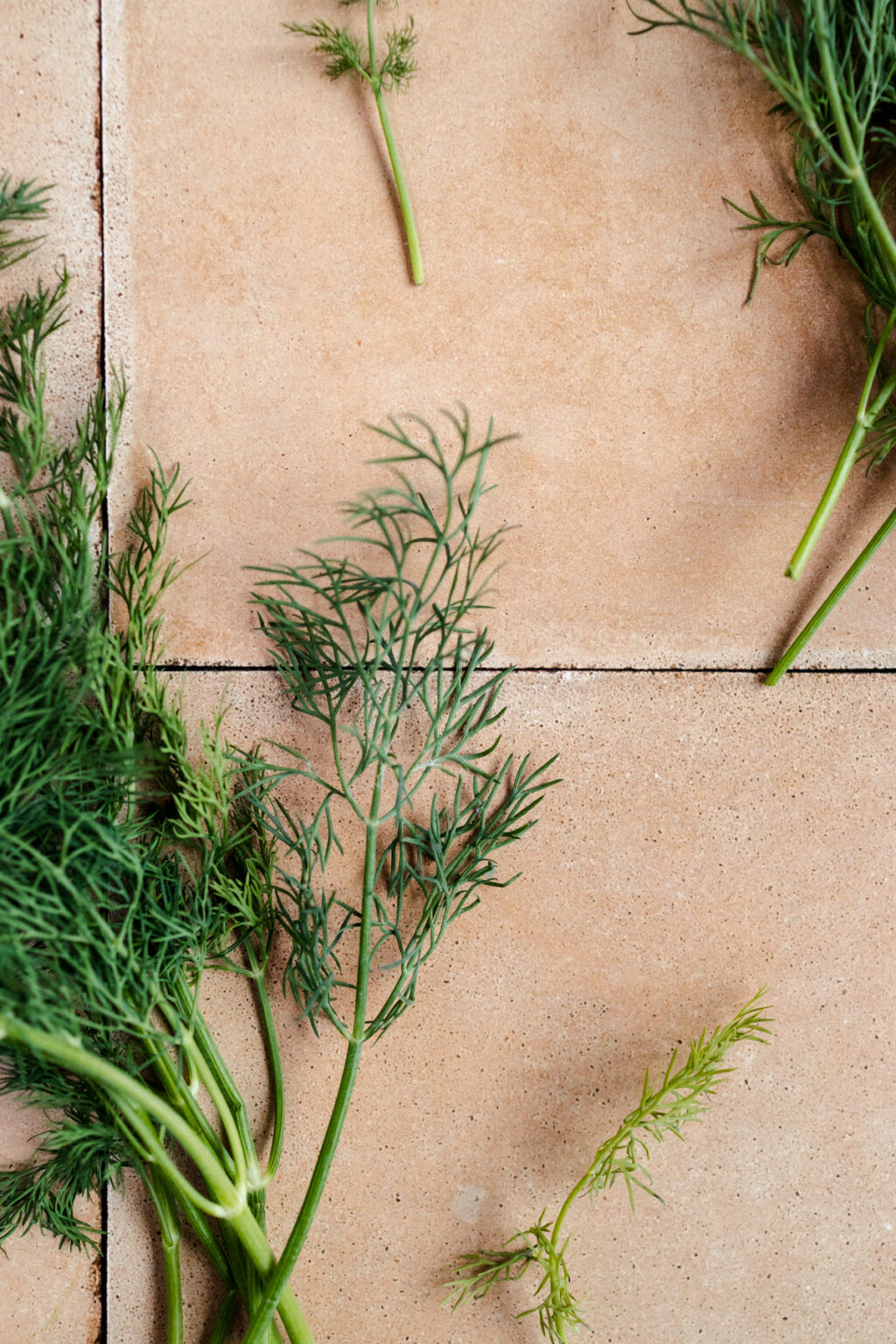 35 Best Substitutes For Dill (Fresh And Dried Ideas) - Raepublic