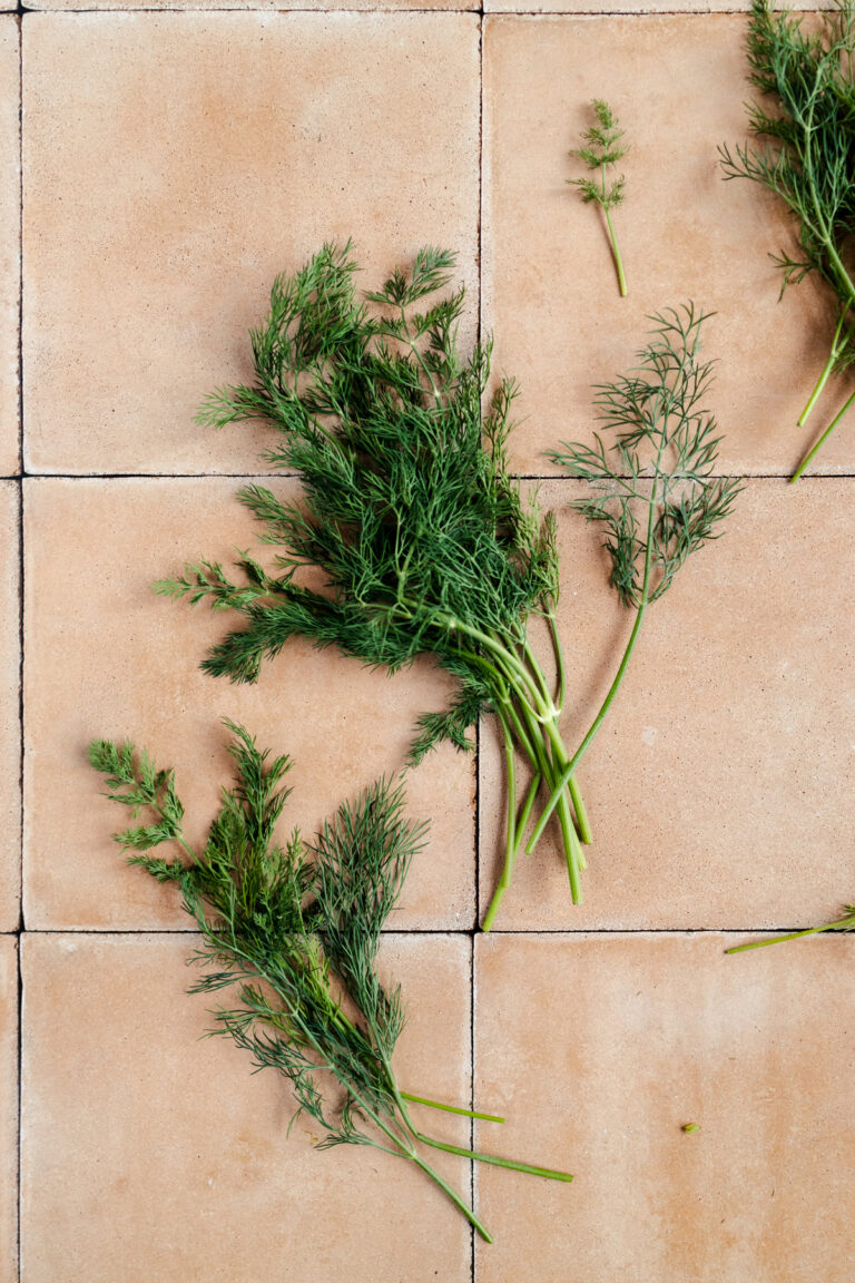 35 Best Substitutes For Dill (Fresh And Dried Ideas) - Raepublic