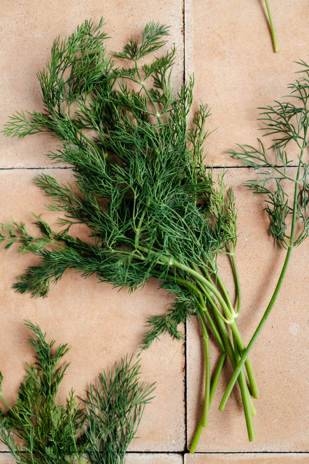35 Best Substitutes For Dill (Fresh And Dried Ideas) - Raepublic