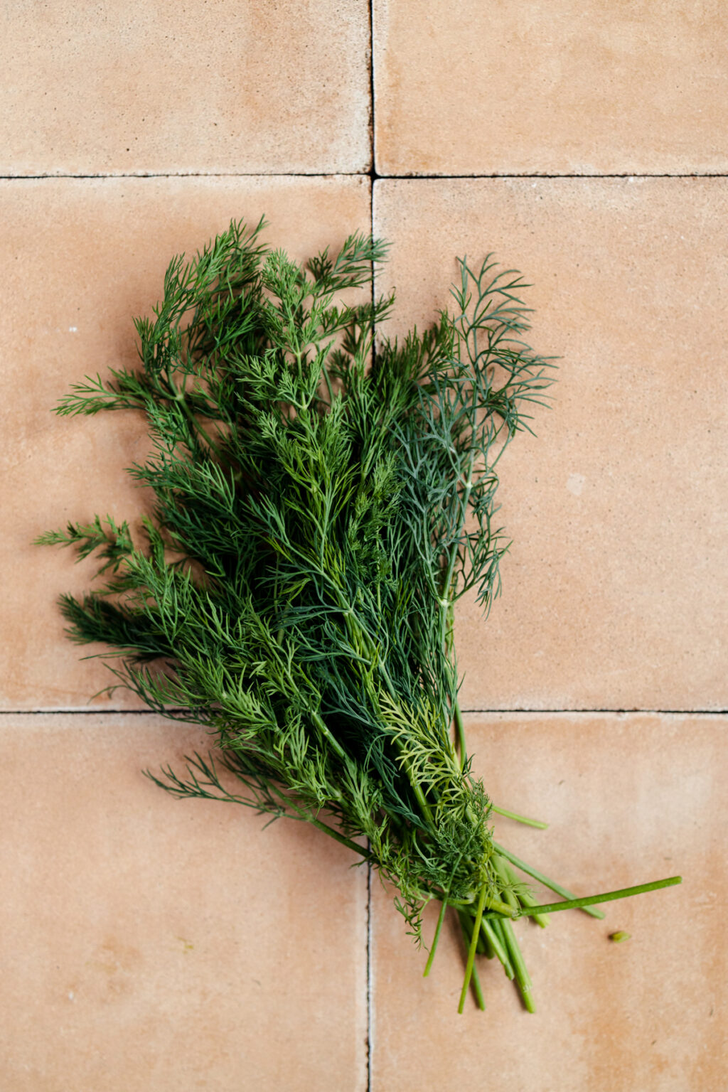 35 Best Substitutes For Dill (Fresh And Dried Ideas) - Raepublic