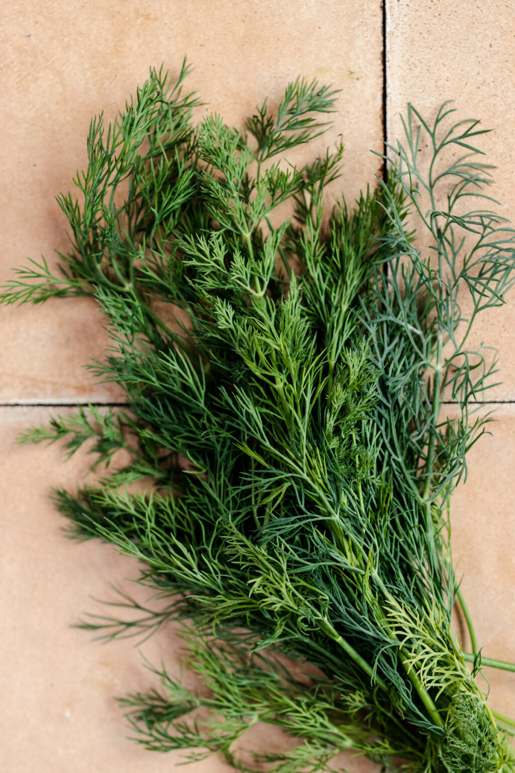 35 Best Substitutes For Dill (Fresh And Dried Ideas) - Raepublic