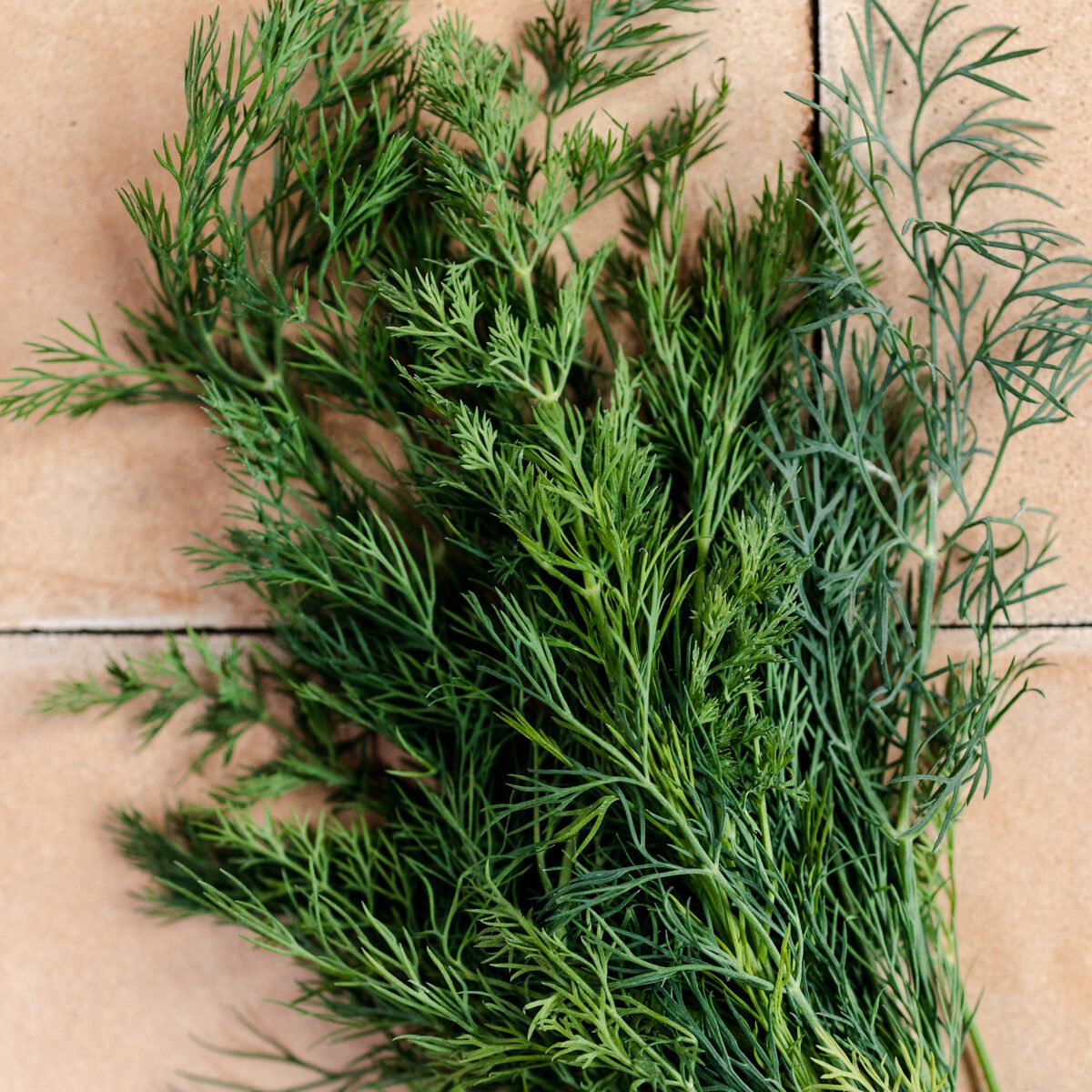 25 Best Substitutes For Dill (Fresh And Dried Ideas) - Raepublic