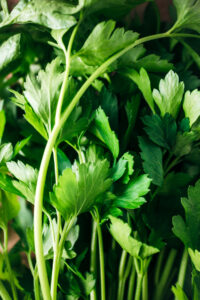 31 Best Substitutes For Parsley (Fresh And Dried Options) - Raepublic