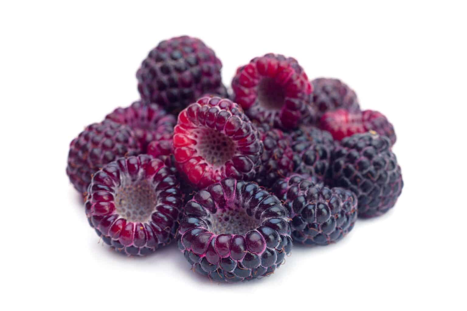 100 Purple Foods You Need In Your Diet - Raepublic