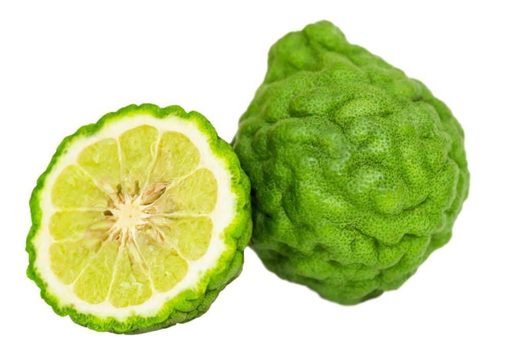 100 Naturally Green Fruits You Should Eat - Raepublic