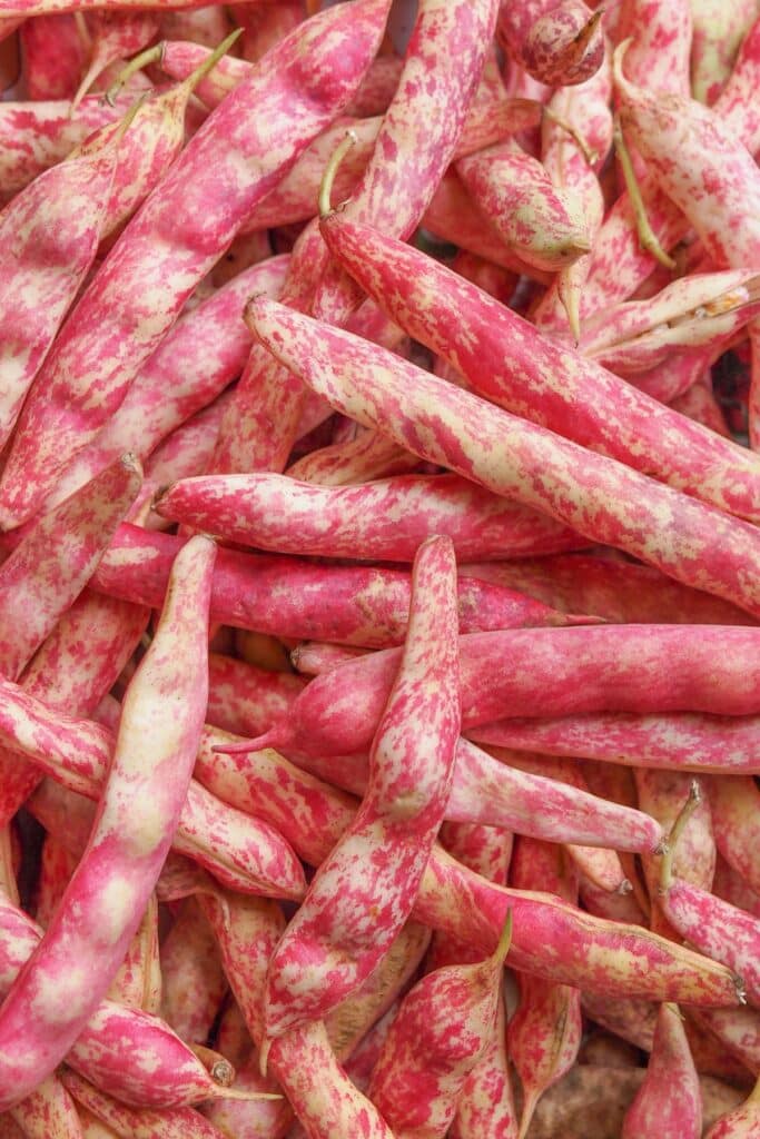 75 Foods That Are Pink (Naturally Pink Foods) - Raepublic